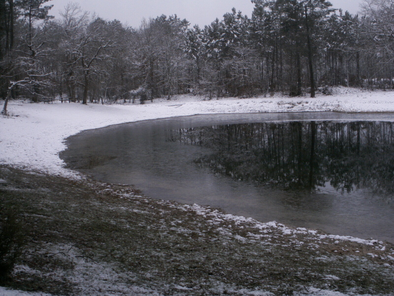 The greater lagoon – Audio guide by IEO 40 - Gascon@s Cap e tot ...
