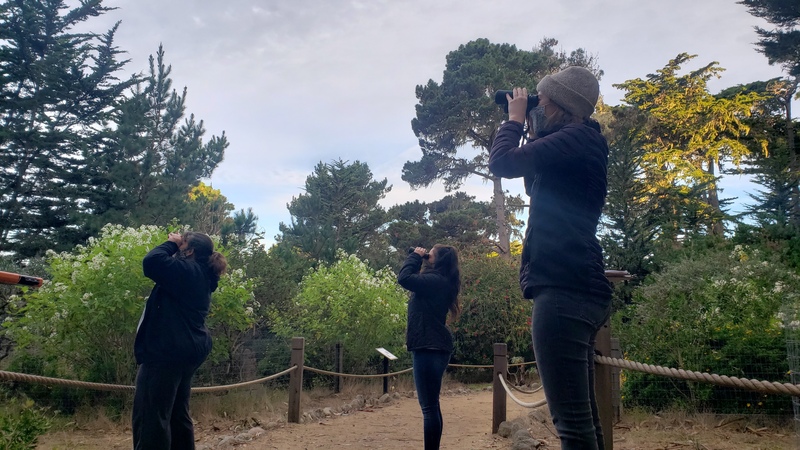 Welcome to the PG Monarch Sanctuary – Audio guide by Pacific Grove ...