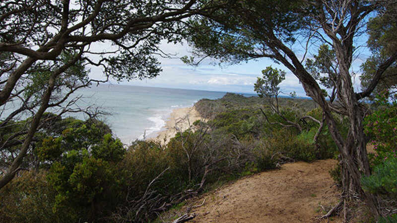 The Bunurong People of the Peninsula – Audio guide by Deakin University ...