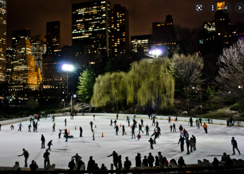 Wolman Rink – Audio guide by Morillon Maëlys | tmatic.travel