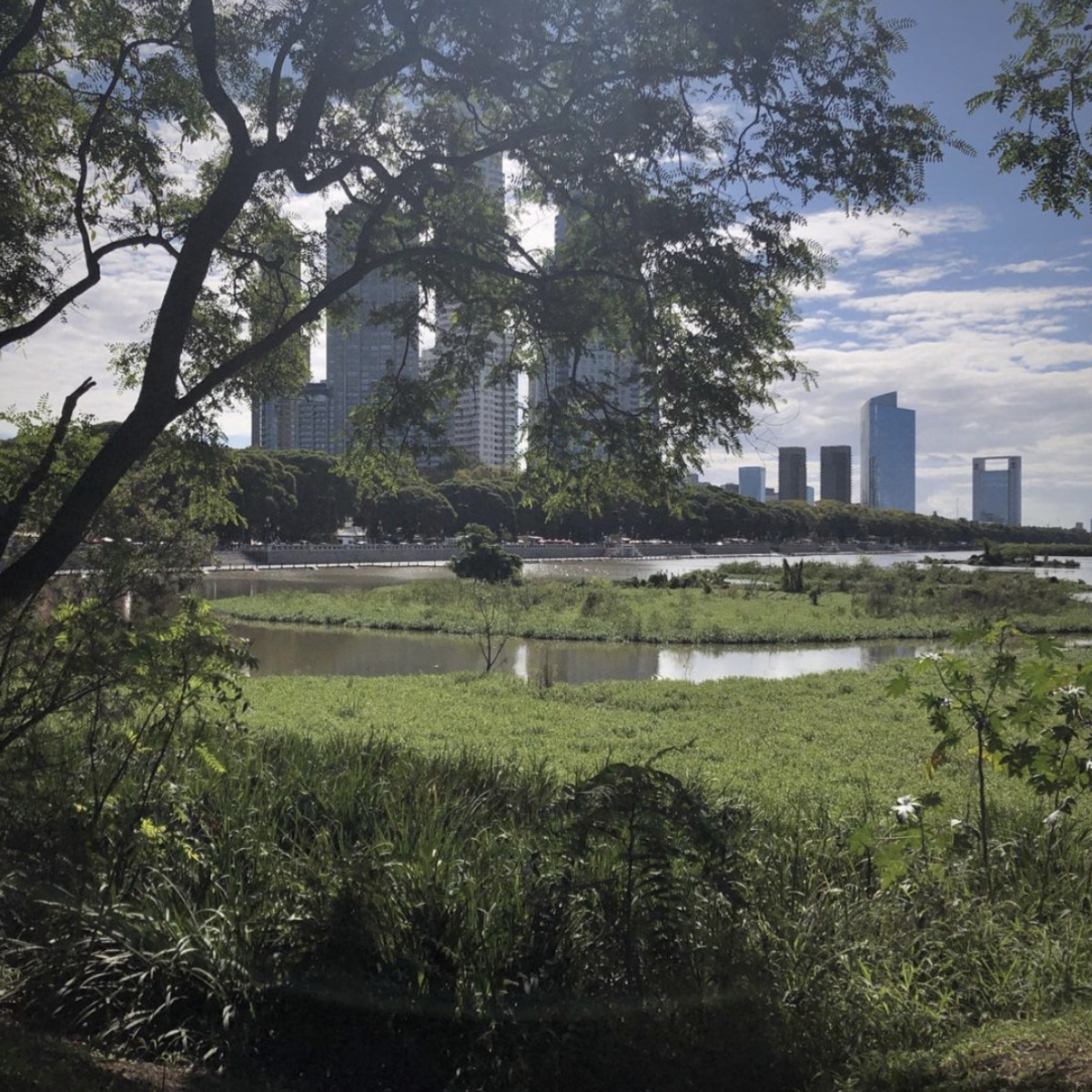 Humedal - OTPI – Audio guide by Martin Parselis | tmatic.travel